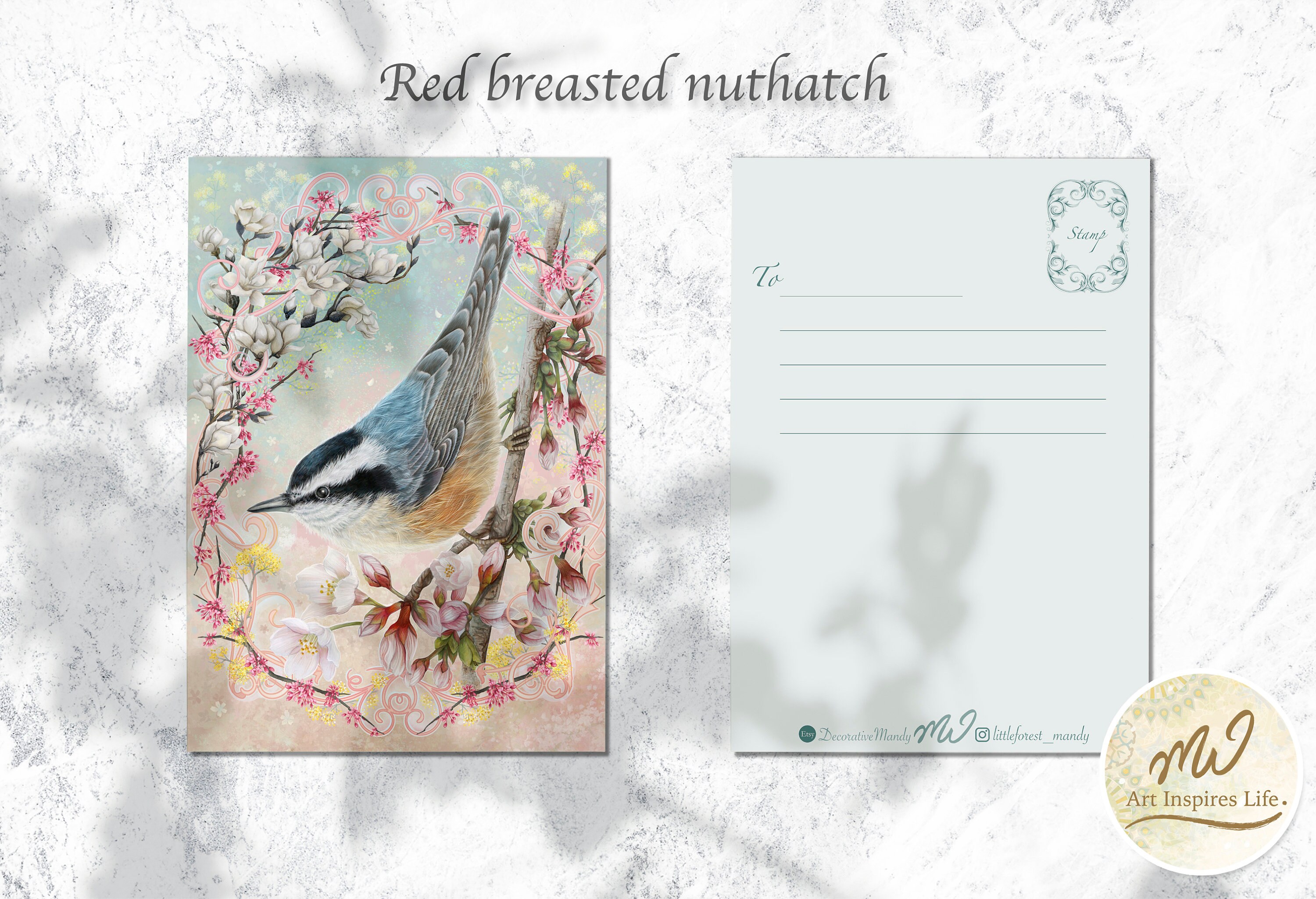 Bird and Botanical Postcards, Postcard Set, Nature Postcards ...