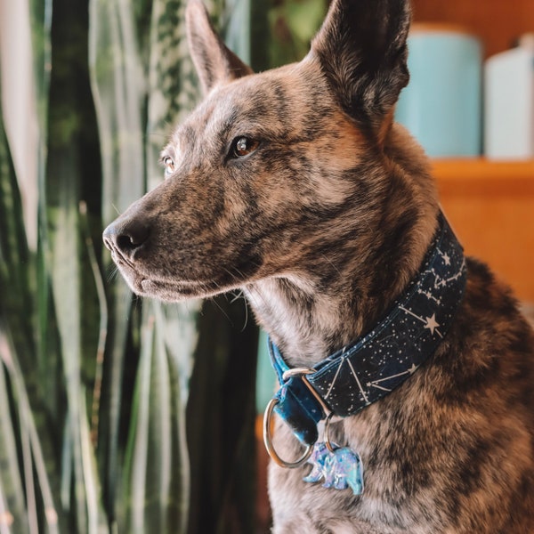 Navy Blue Dog Collar - Etsy
