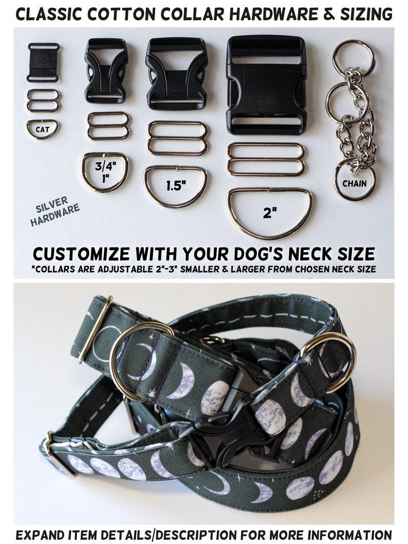 Fabled Spell Dog Collar: Halloween, Witch, Crystal, Spell, Frog ...
