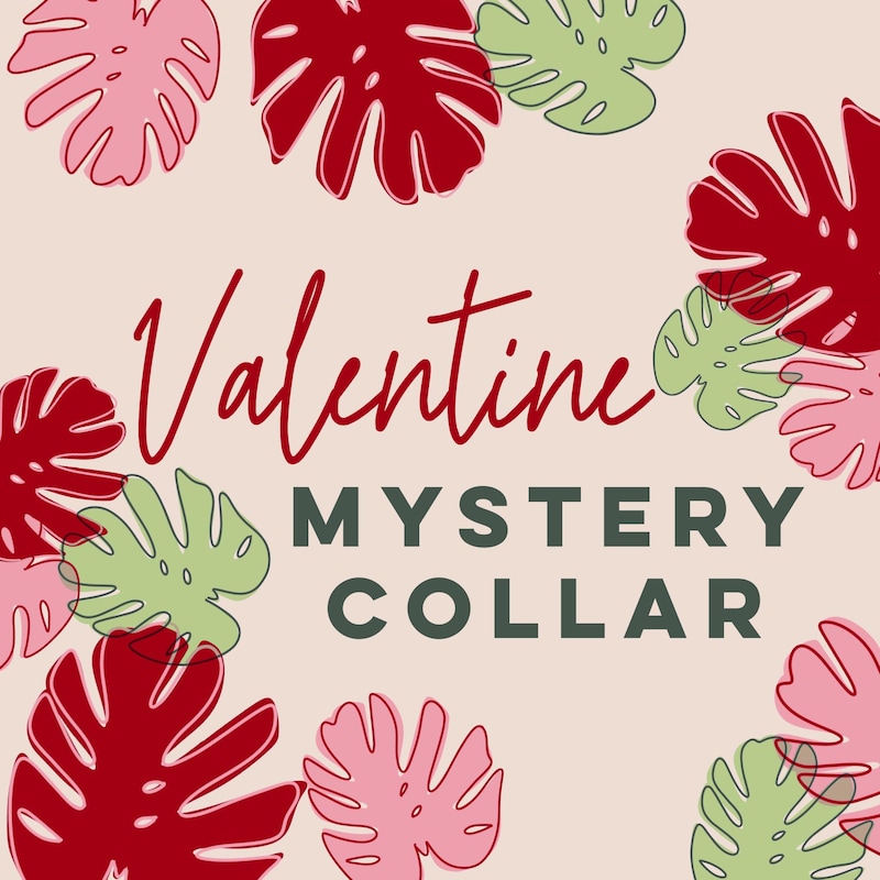 Pink Moon Collar Cat - Etsy