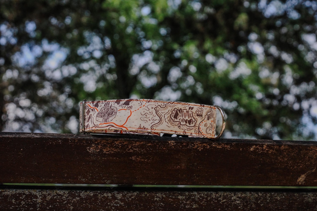 The Map Dog Collar: Treasure, Dragon, Game, Medieval, Dnd, D&D, Classic ...
