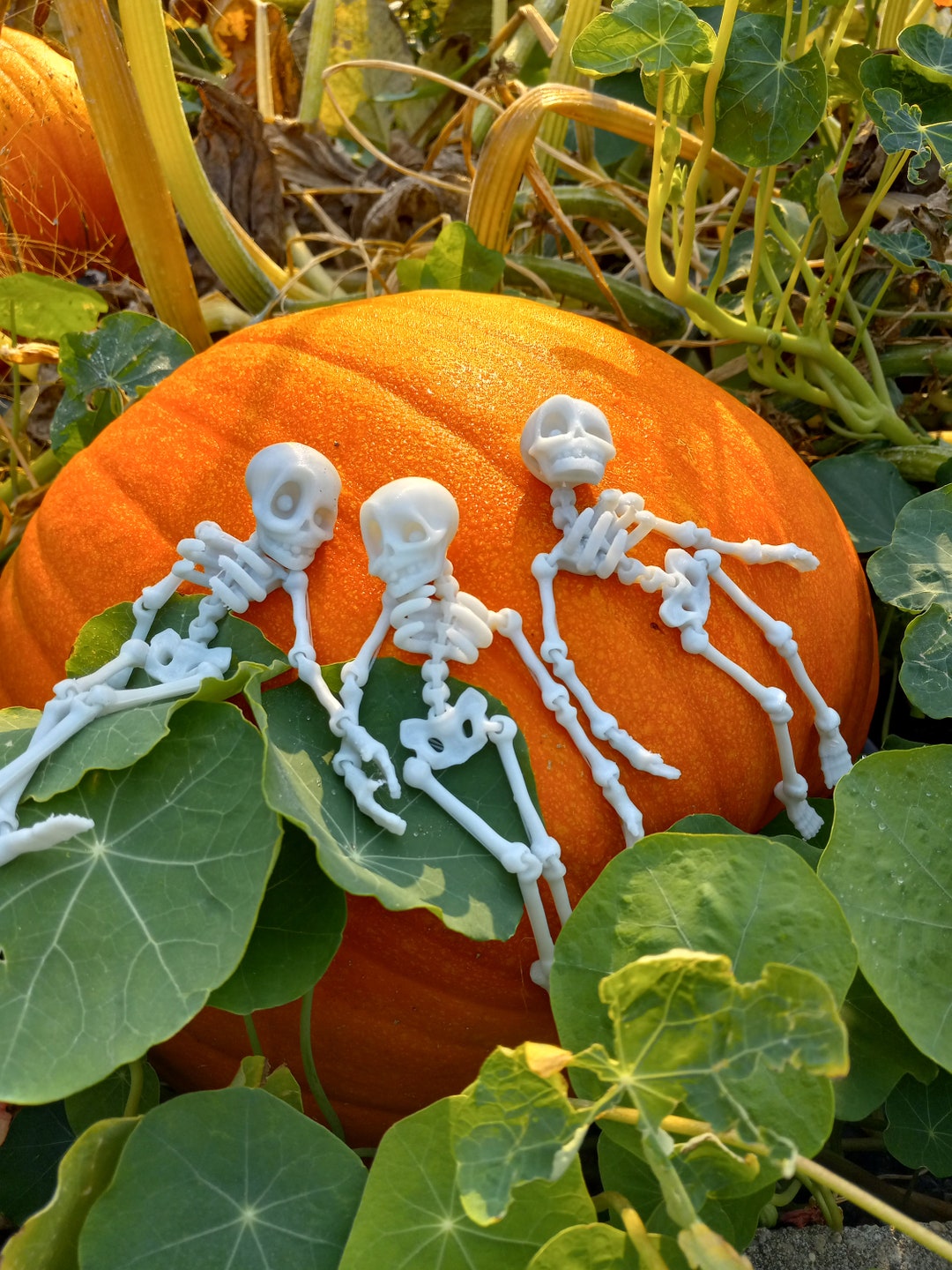 Mini Flexi Skeleton Glows in the Dark Dances Great for Kids - Etsy