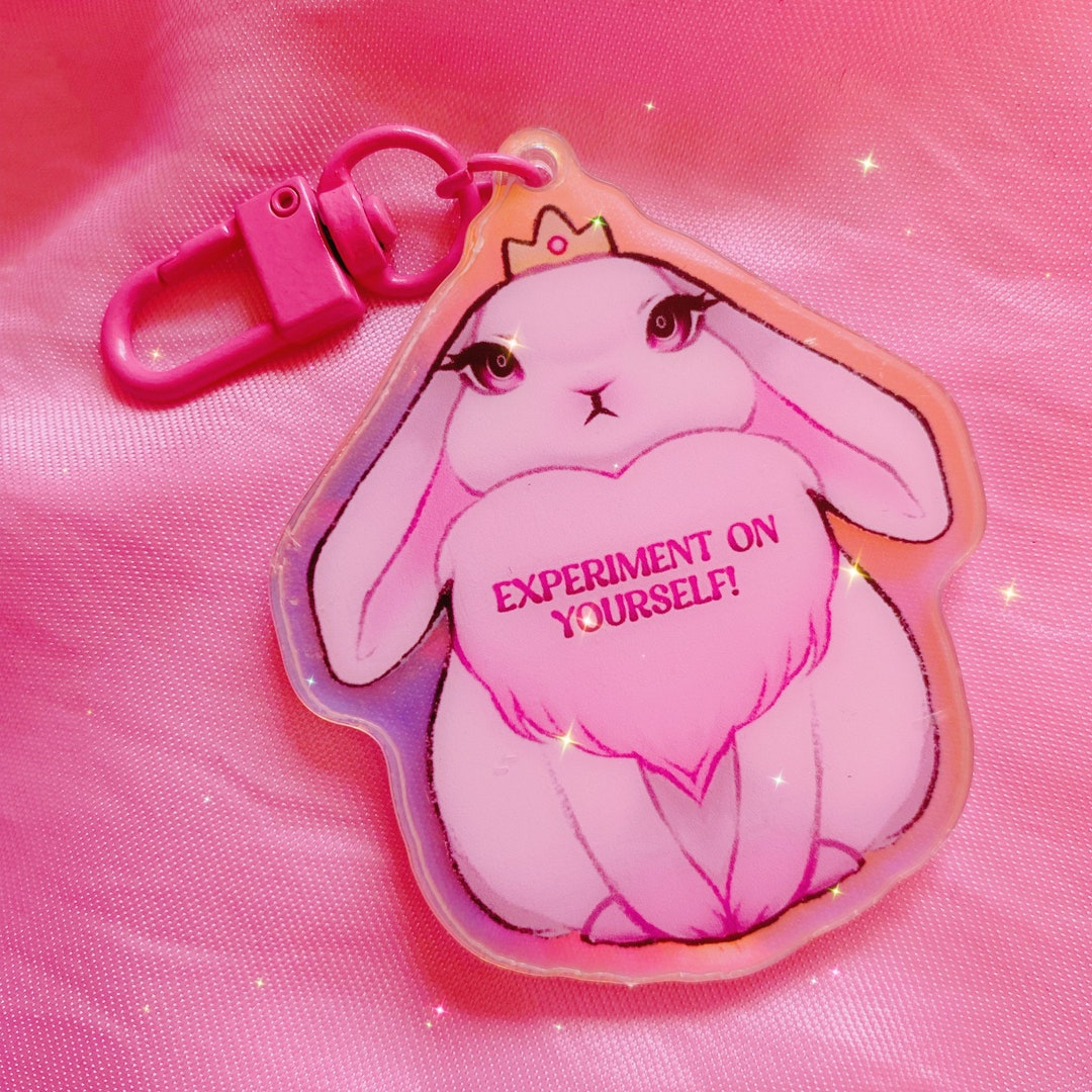Cruelty Free Bunny Double Sided Kawaii Holographic Rabbit Girl Mascot ...