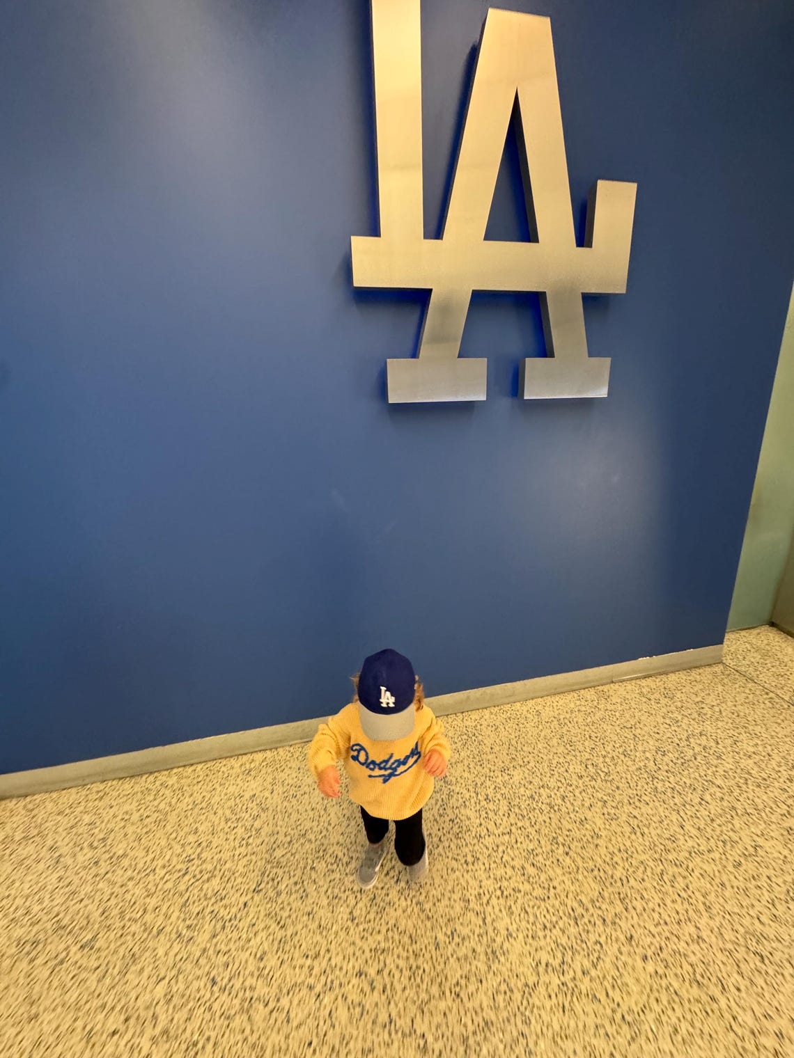 Custom Hand-embroidered Dodgers Sweater for Kids - Etsy