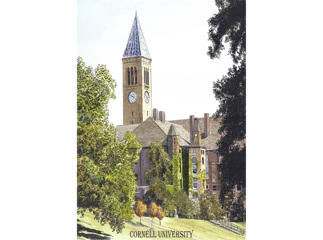 Cornell University LIMITED EDITION Pen and Ink and Watercolor Art Print ...