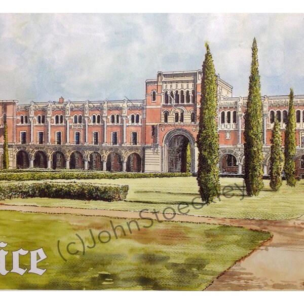 Rice University Svg - Etsy