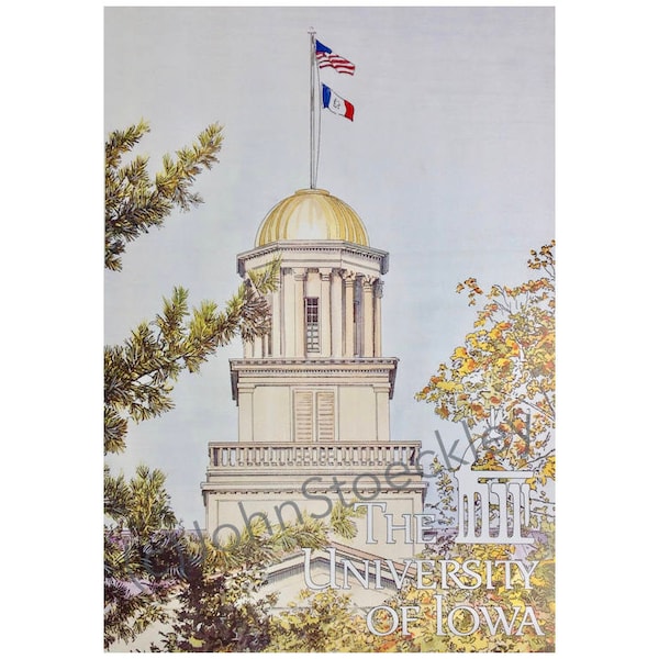 University of Iowa - Etsy