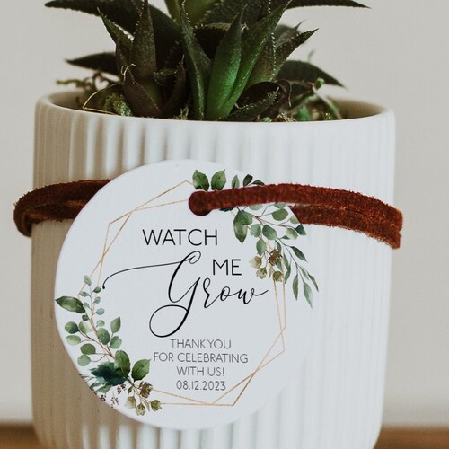 Watch Me Grow Sign Printable Succulent Favors Baby Shower Sign - Etsy