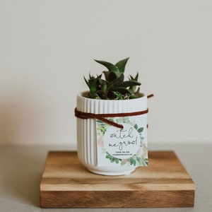 Editable Watch Me Grow Tag Succulent Favors Tag Plant Thank - Etsy