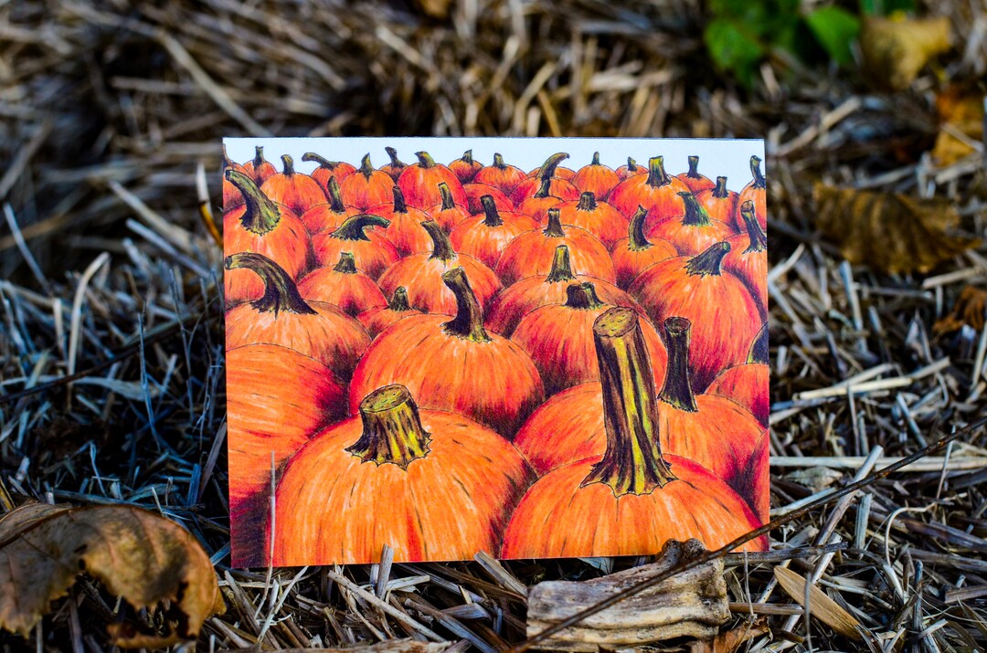 Pumpkin Greeting Cards Pumpkin Cards Greeting Cards Note - Etsy