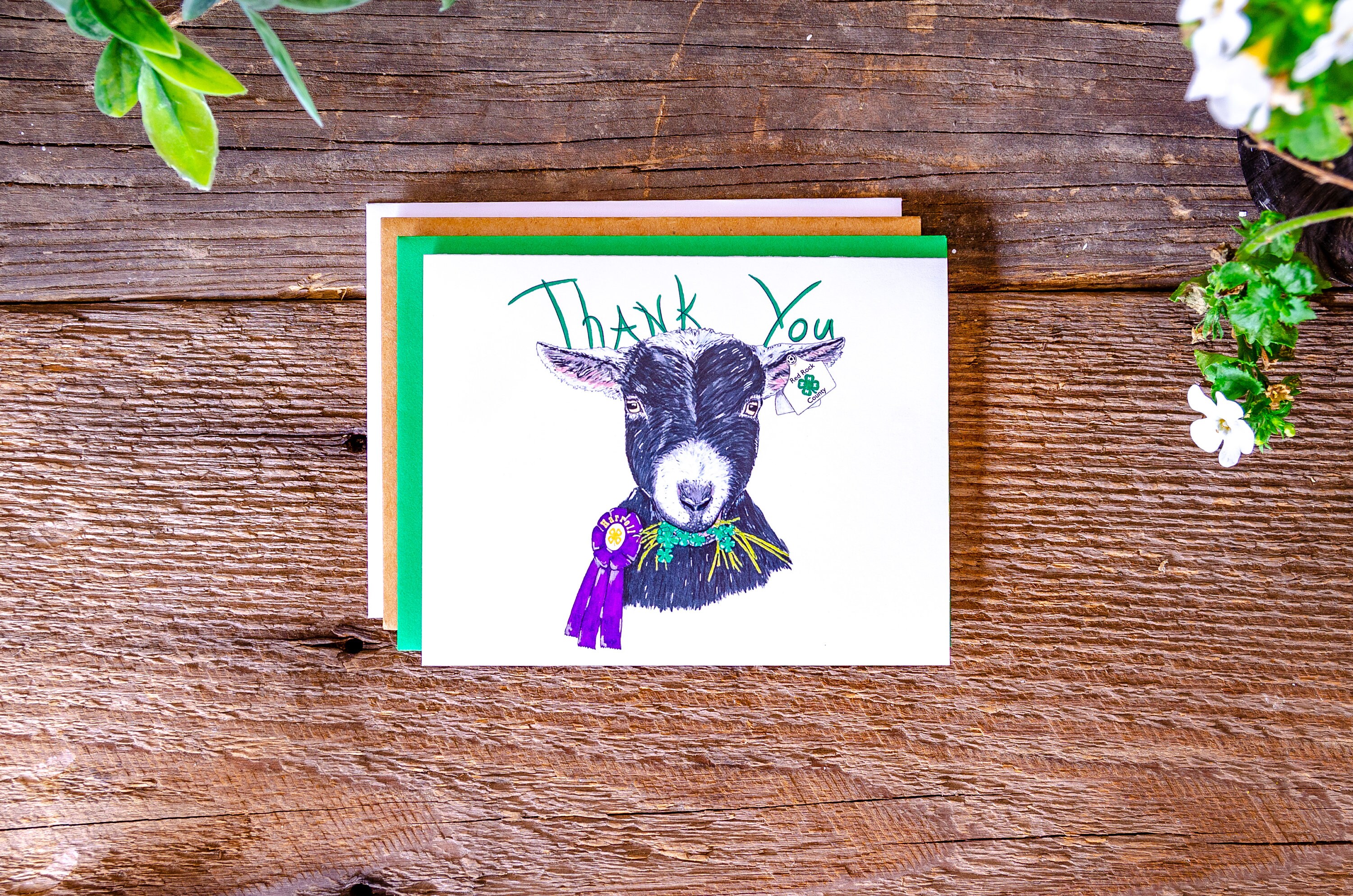 4-H Agouti Pygmy Goat Personalized Thank You Cards C118 - Etsy Australia