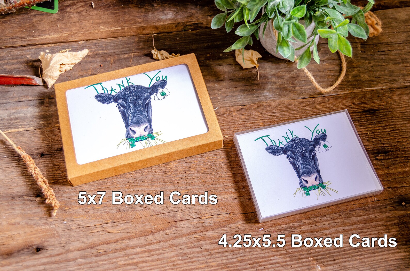 Personalized 4-H Black Angus Cow Thank You Cards C127 | Etsy