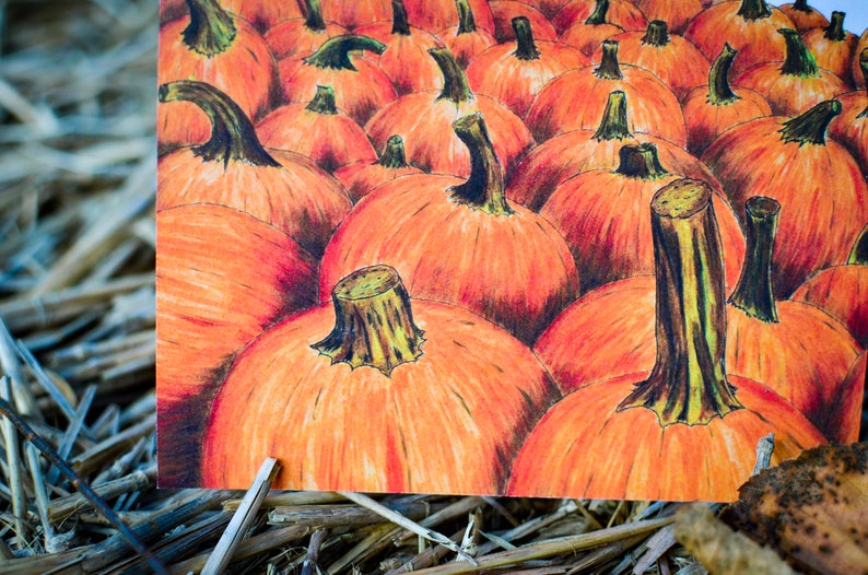 Pumpkin Greeting Cards Pumpkin Cards Greeting Cards Note | Etsy