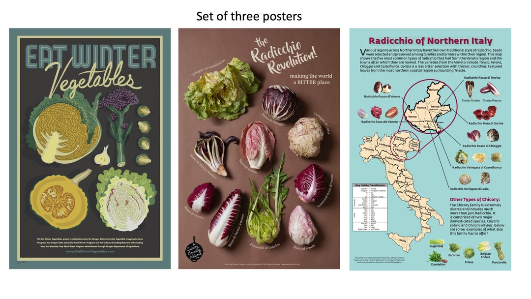 Set of Three Posters (your Choice) - Etsy