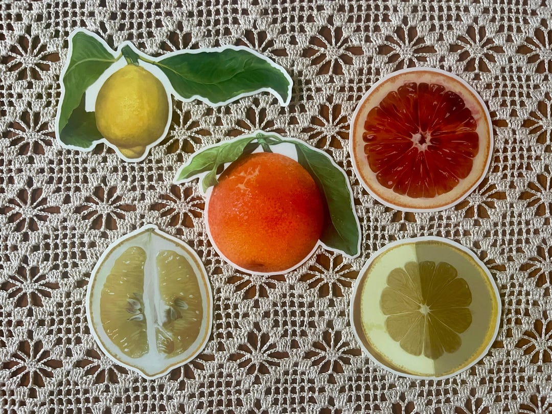 Citrus Sticker Set - Etsy