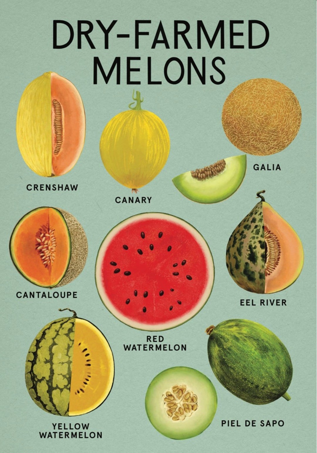Dry Farmed Melons Poster - Etsy
