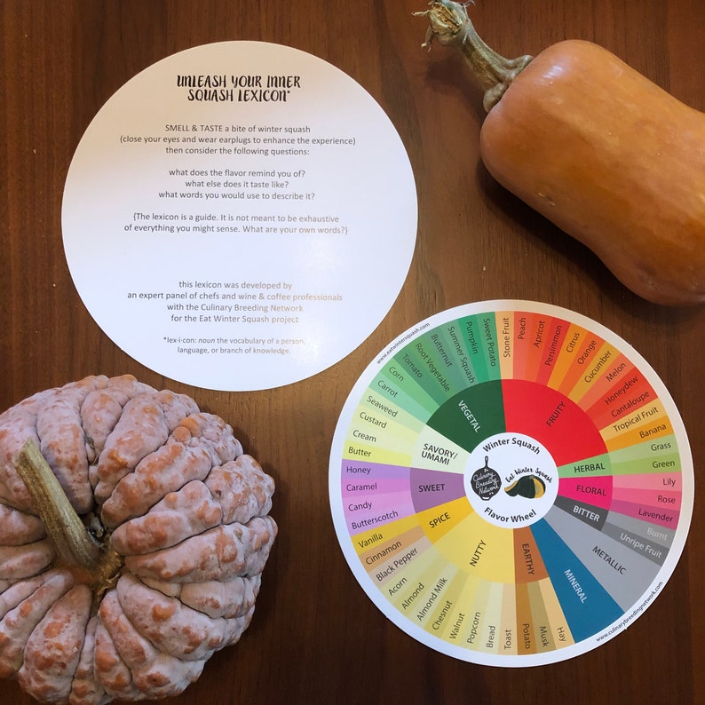 Winter Squash Flavor Wheel - Etsy
