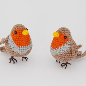 Amigurumi Crochet Pattern Bird Robin / Crocheted Robin / | Etsy