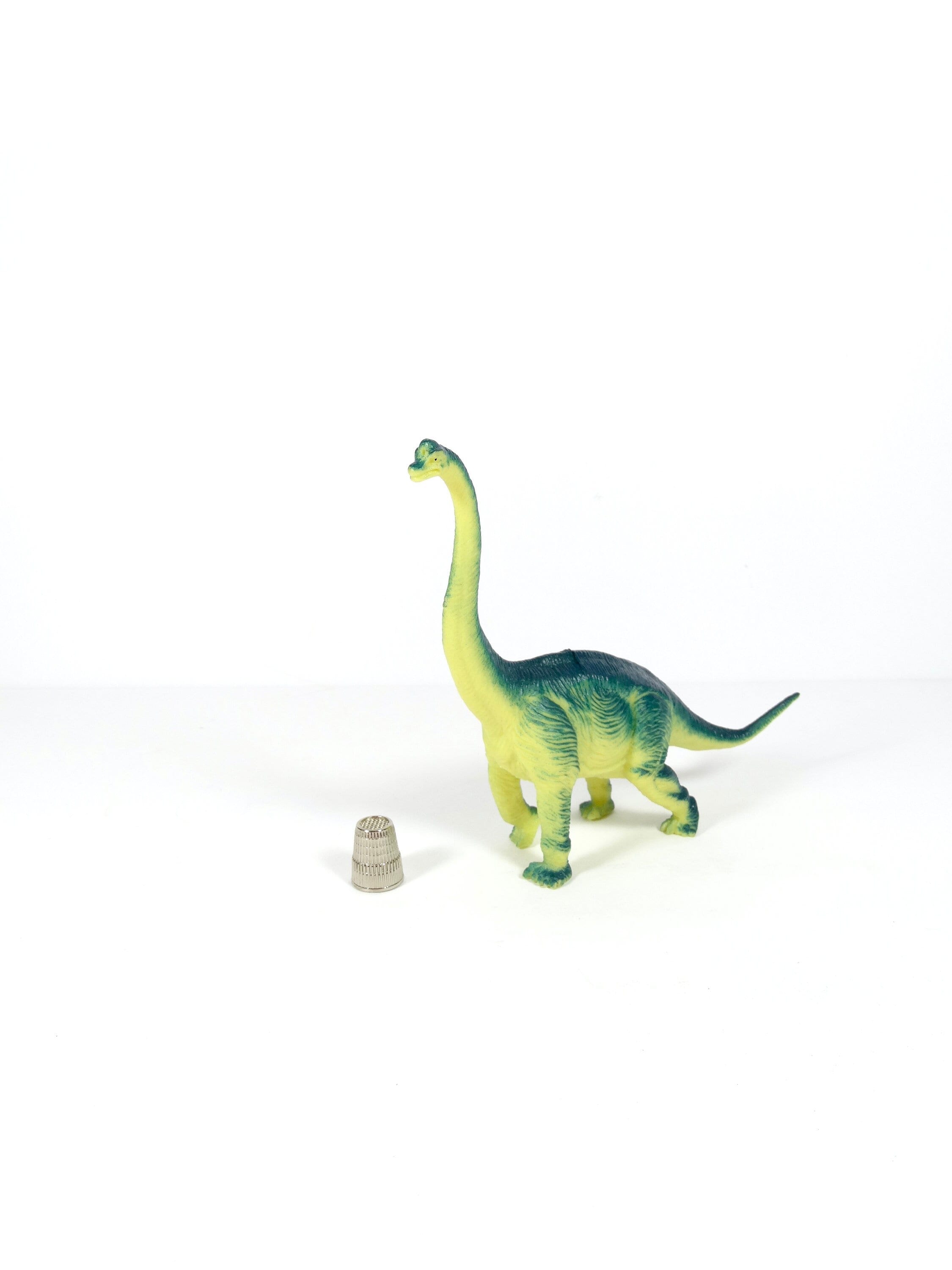 Baby Brontosaurus By Boley