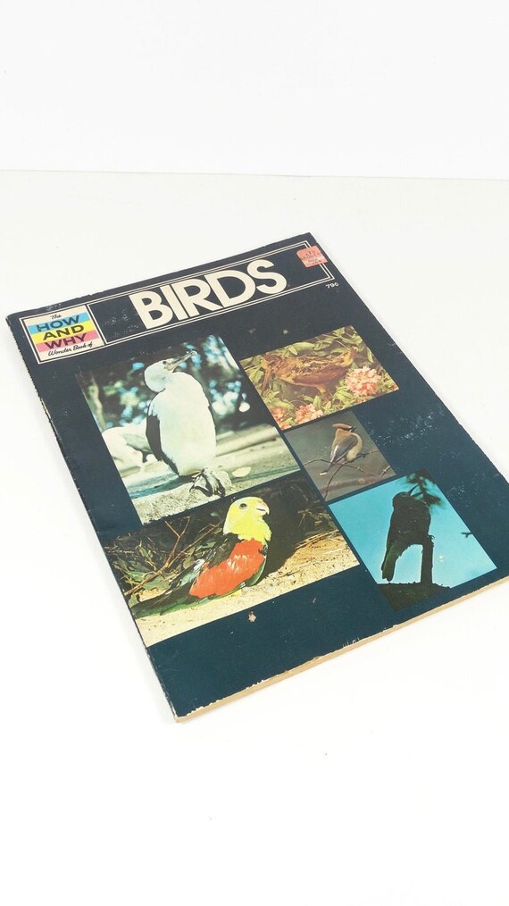 1976 How and Why Wonder Book of Birds Robert Mathewson - Etsy