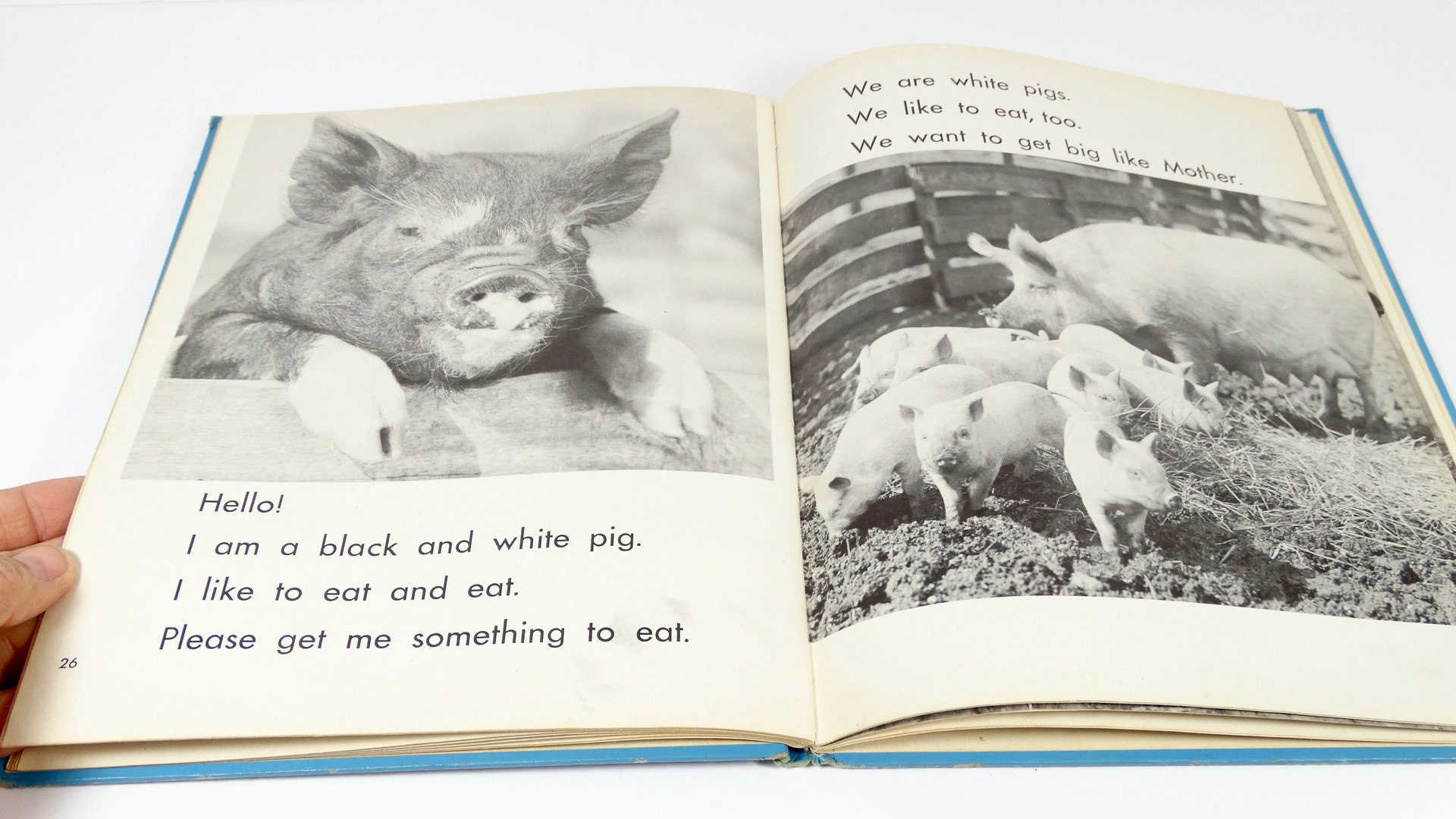 1949 Come to the Farm Ruth M. Tensen Picture Books for - Etsy UK