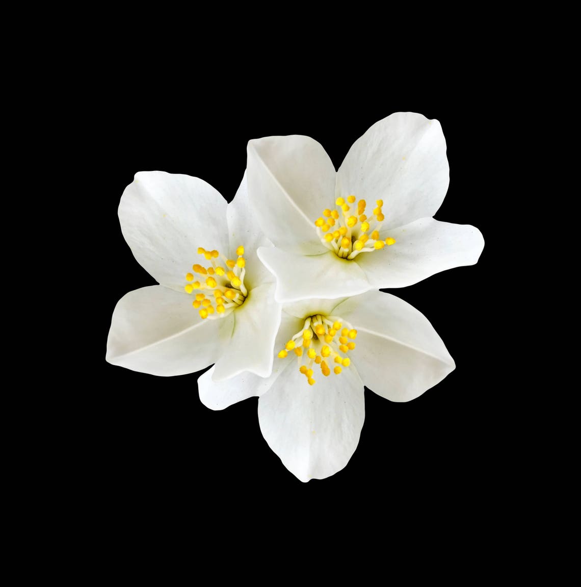 PIKAKE FLOWER BLOSSOM ~ Pure Perfume Rollerball: Alcohol Free - Women ...