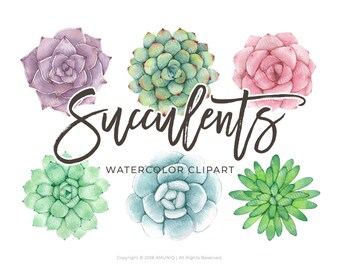 Watercolor succulent clipart cactus clipart plant clipart | Etsy