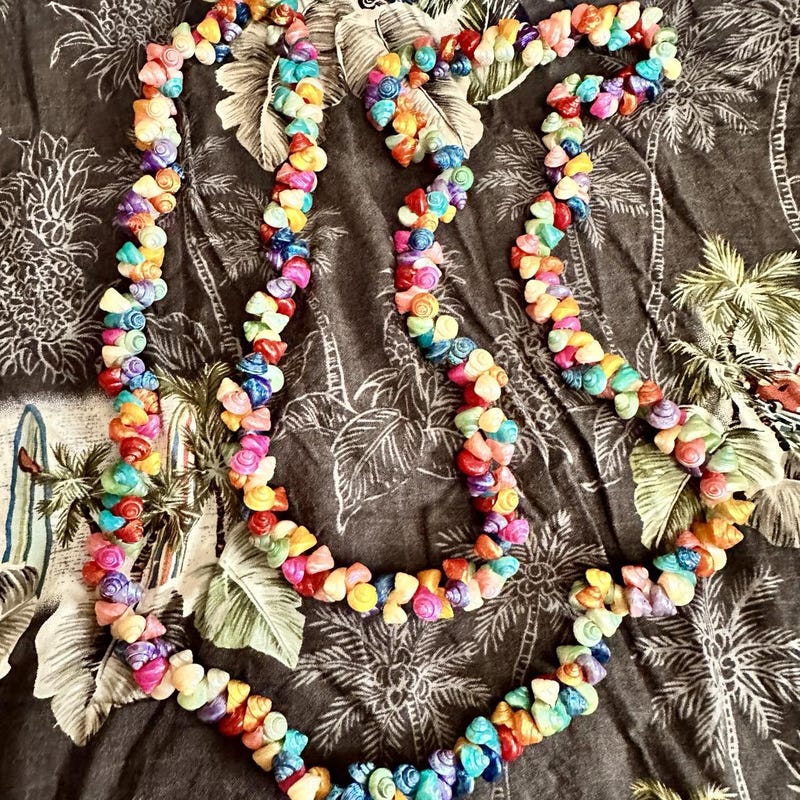 Trochus Shell - Etsy