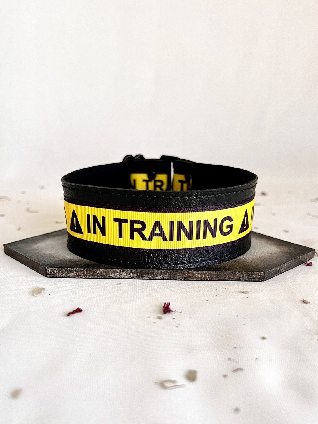 IN TRAINING - Extra Wide Caution Yellow Human Dog Collar - Puppy Play ...