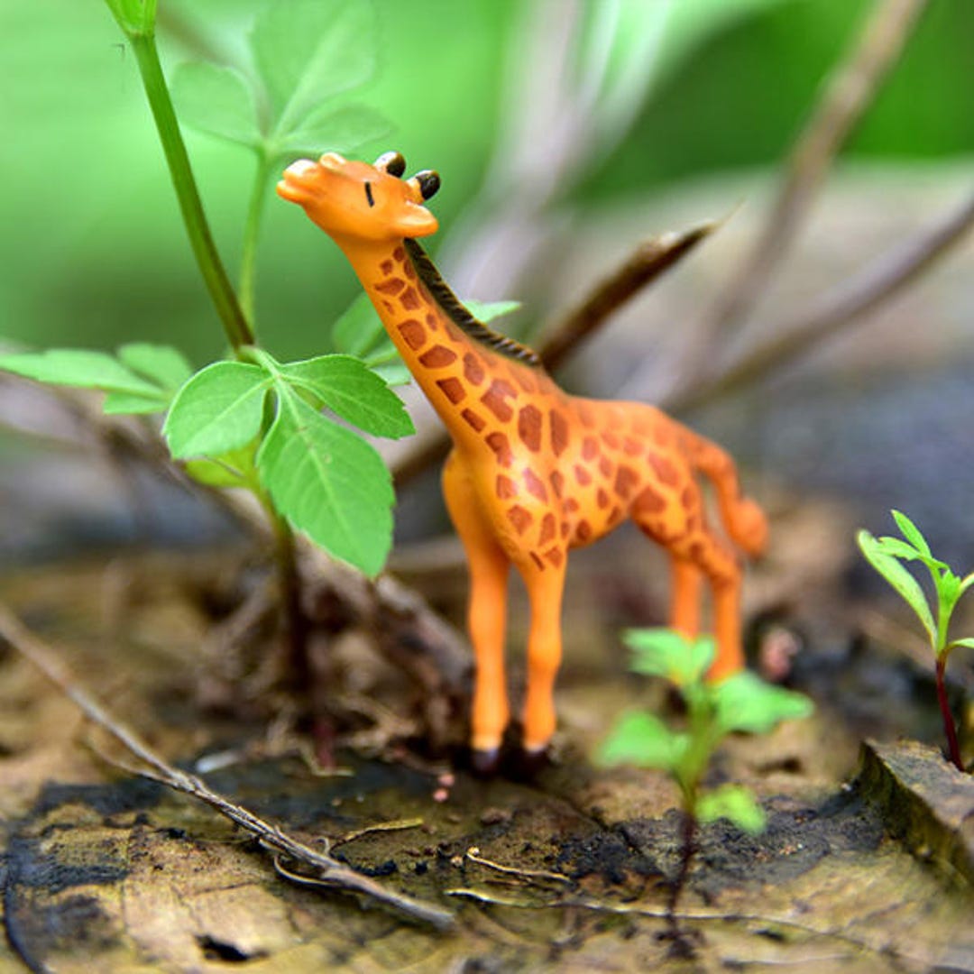 2pcs Small Giraffe Miniature Fairy Garden Supplies Animal Figurine DIY ...