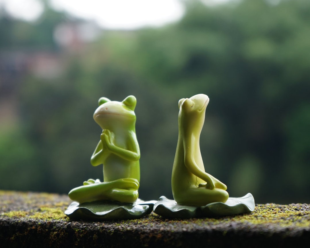 Miniature Frog Figure Sit in Meditation , Yoga Buddha Zen Frogs Small ...