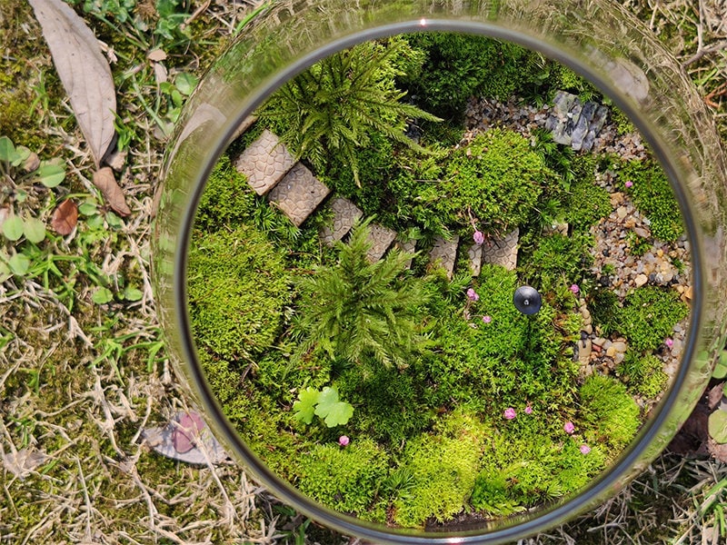 10pcs Miniature Tiny Stepping Stone Figure Fairy Garden - Etsy