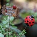 Miniature Small Red Ladybug and Ladybug Signpost Figure Fairy Garden ...