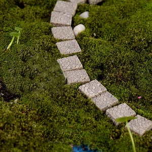 10pcs Miniature Tiny Stepping Stone Figure Fairy Garden Supplies ...