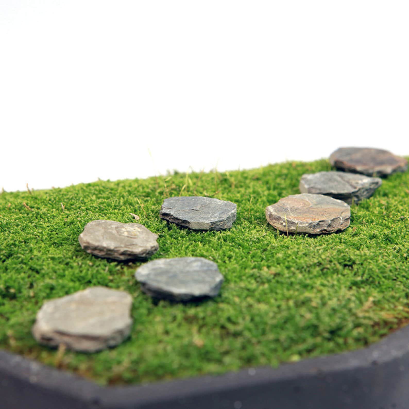 10pcs Natural Miniature Small Stepping Stone Figure Fairy Garden ...