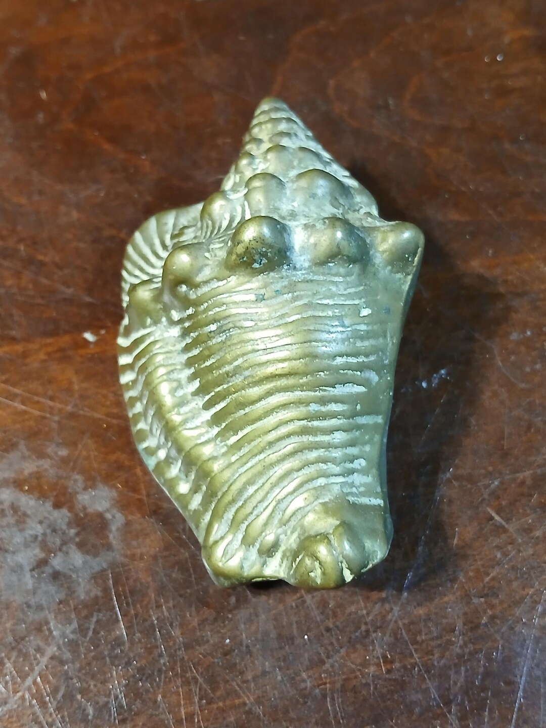 Brass Decorative Shell Paperweight 3"x2" Beach Decor - Etsy