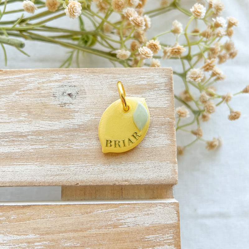 Lime Dog Name Tags - Etsy