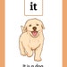 Sight Word Flashcards - Etsy