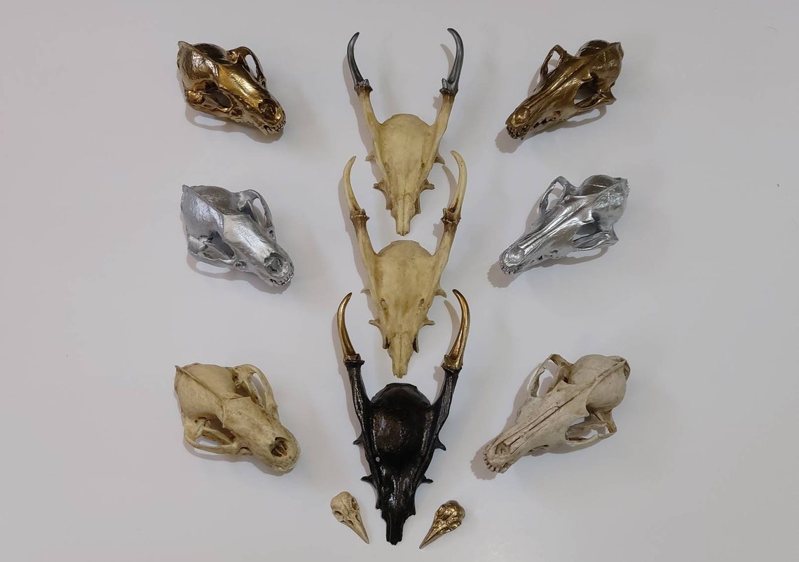 Roe Deer Horns Replica Bone and Gold Horns Colour - Etsy