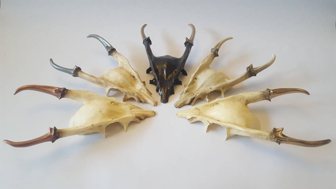 Roe Deer Horns Replica Bone and Gold Horns Colour - Etsy