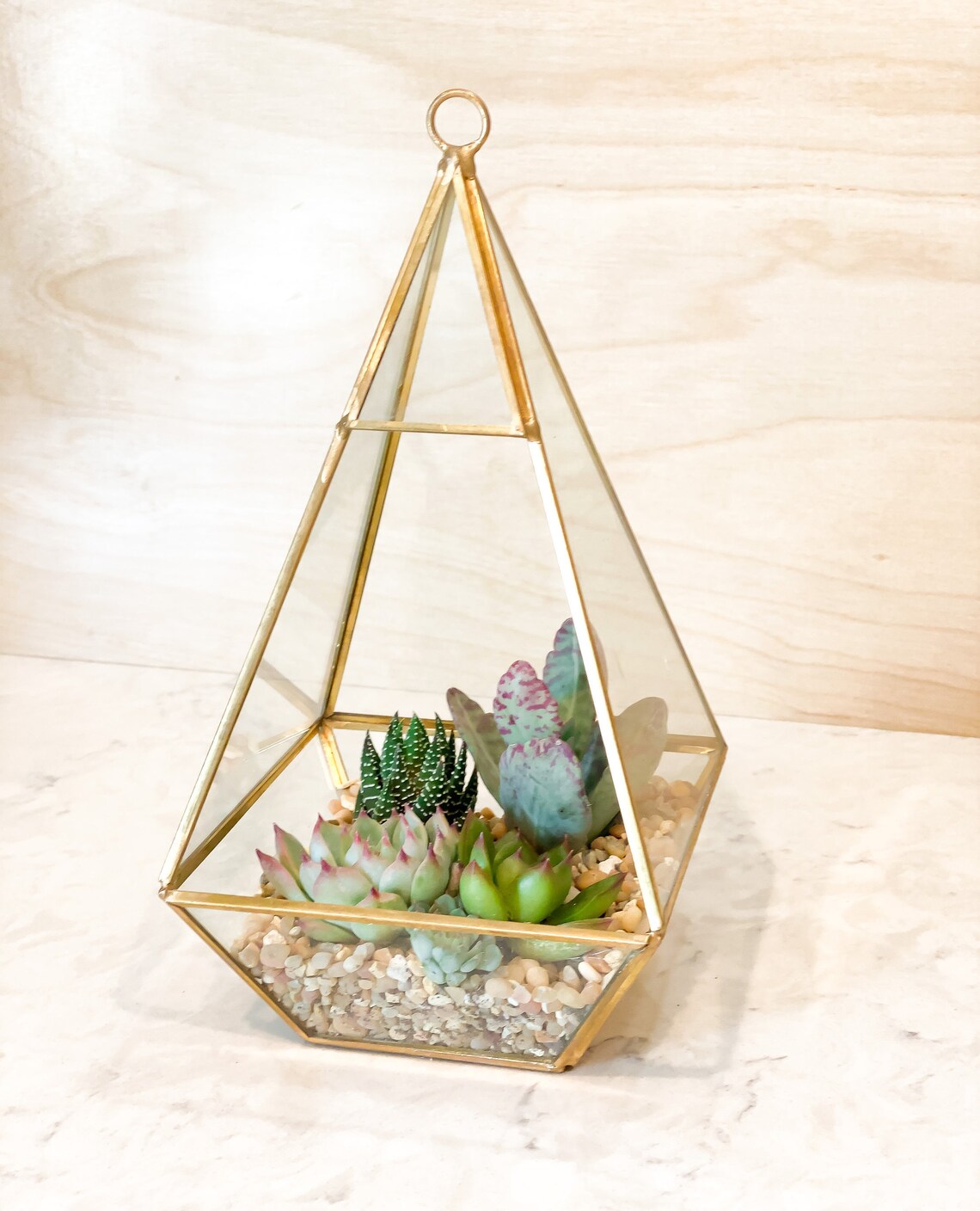 Geometric Glass Succulent Gold Terrarium DIY Christmas - Etsy