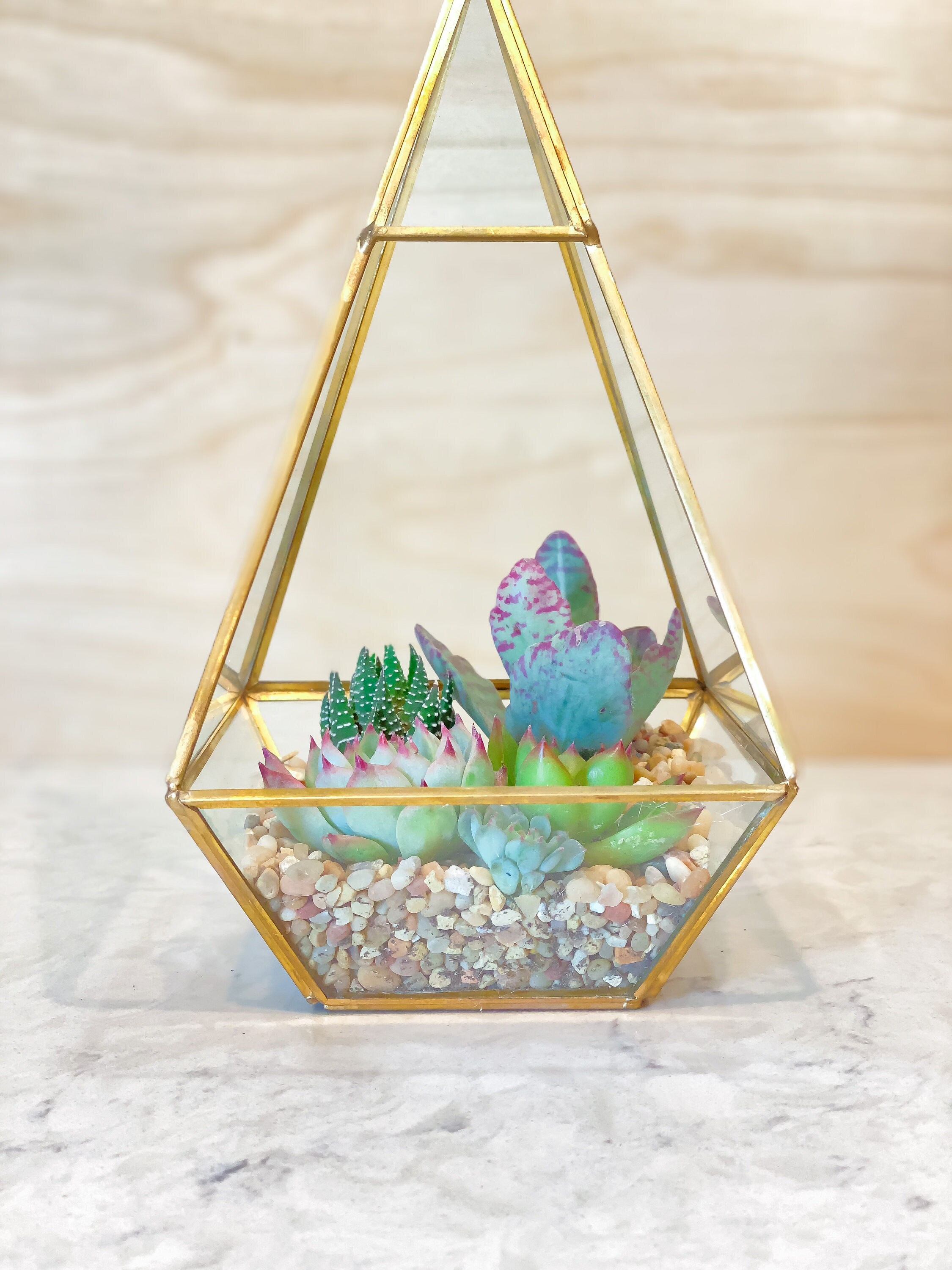 Geometric Glass Succulent Gold Terrarium DIY Christmas - Etsy