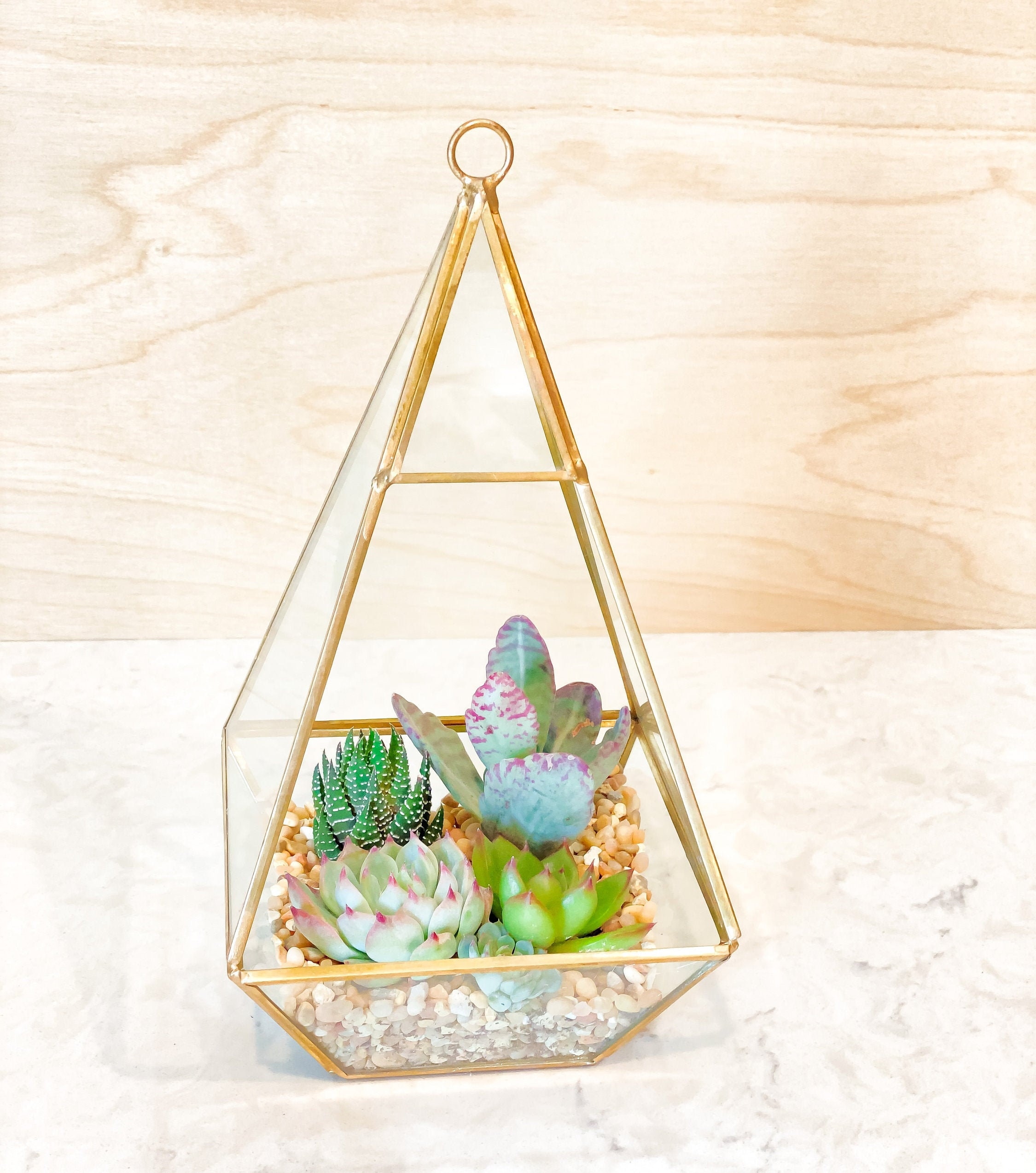 Geometric Glass Succulent Gold Terrarium DIY Christmas - Etsy