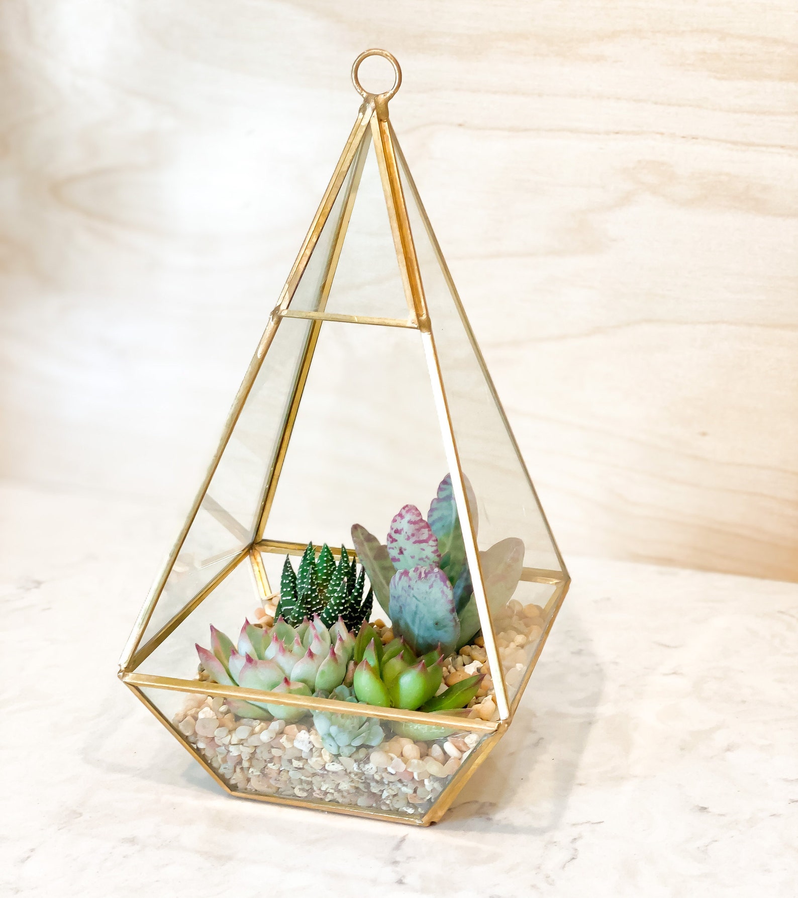 Geometric Glass Succulent Gold Terrarium DIY Christmas - Etsy