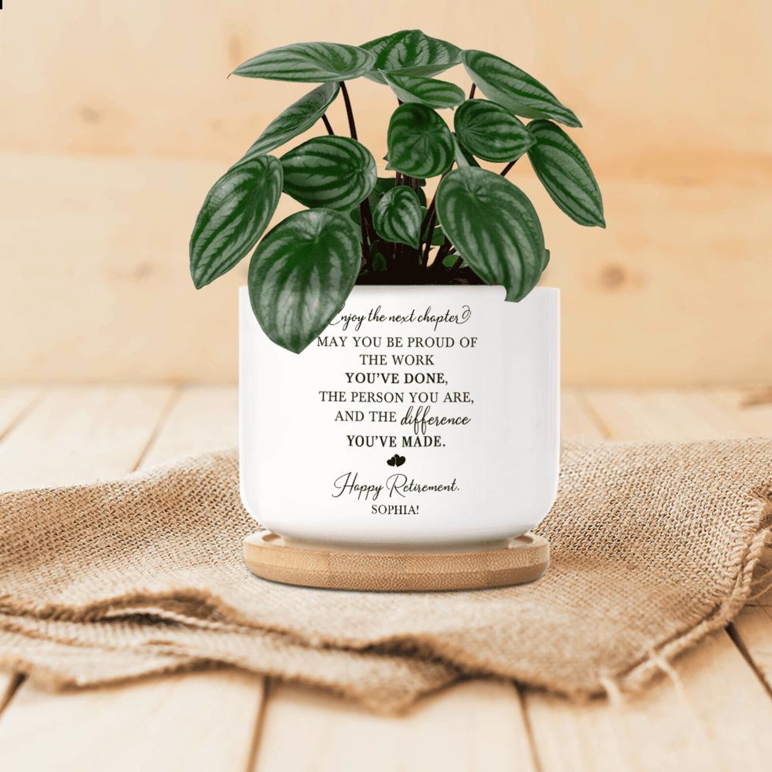Custom Retirement Plant Pot, Retired Succulent Plant Pot, Happy ...