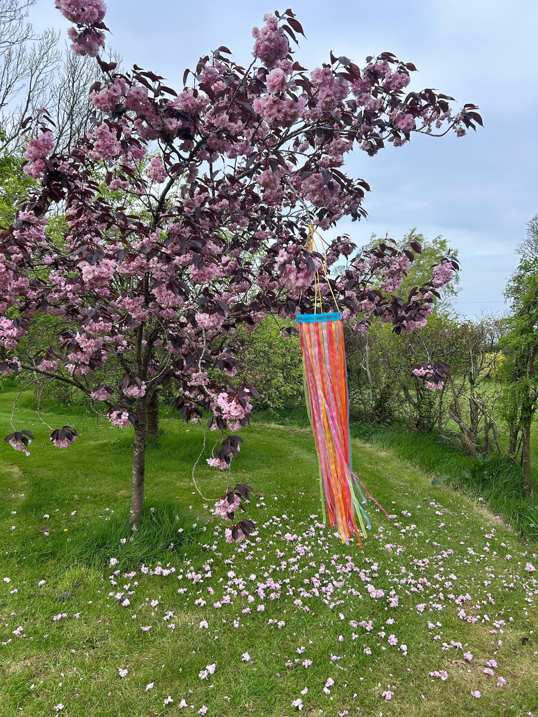 Colourful, Organza Ribbon Streamer/ Wind Sock/hoop. Garden/wedding ...