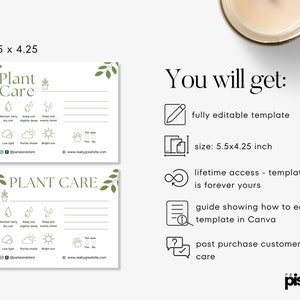 Plant Care Guide Card Template: Succulents, Herbs (canva Editable) - Etsy