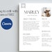 Editable Dog Resume, Pet Bio Cv, Renting Dog Profile, Foster Cat Bio ...