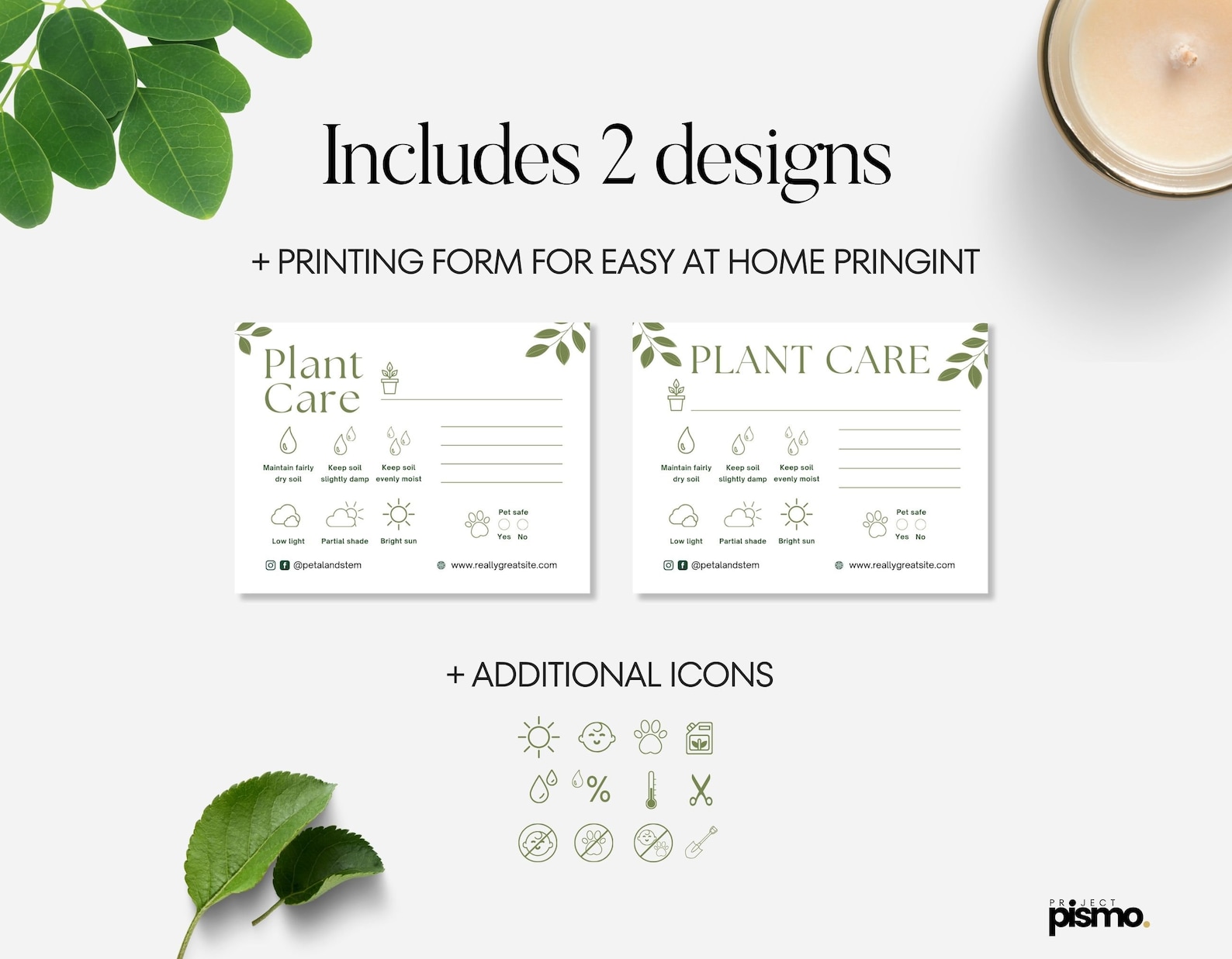 Plant Care Guide Card Template: Succulents, Herbs (canva Editable) - Etsy