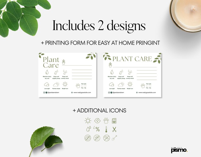Plant Care Guide Card Template: Succulents, Herbs (canva Editable) - Etsy